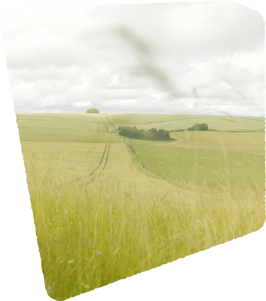 Pasture-based Farm Management Practices | Grazing Livestock